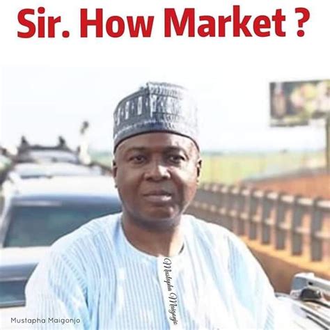Saraki Denies Congratulating Apc Senator Elect Politics Nigeria