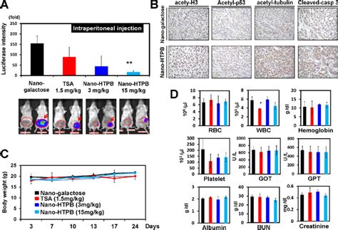 Growth Of Tumor In 4t1 Luc Xenograft Models Was Effectively Reduced By