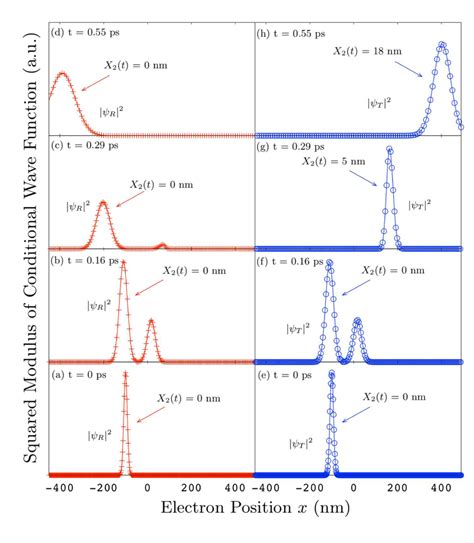 The Line In A B C And D Is The Time Evolution Of The