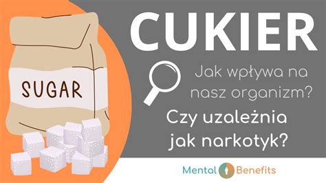 Cukier Czy Uzale Nia Jak Narkotyk Jak Ograniczy Spo Ywanie S Odyczy Youtube