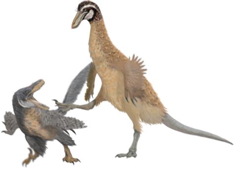 A Dinosaur A Day Aepyornithomimus Tugrikinensis