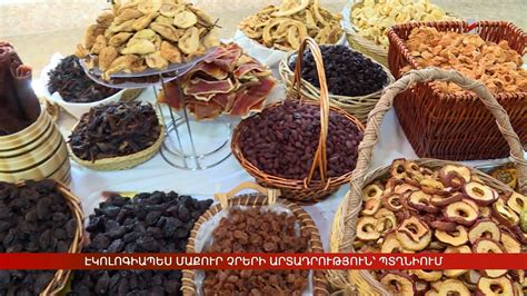 Էկոլոգիապես մաքուր չրերի արտադրություն՝ Պտղնիում Youtube