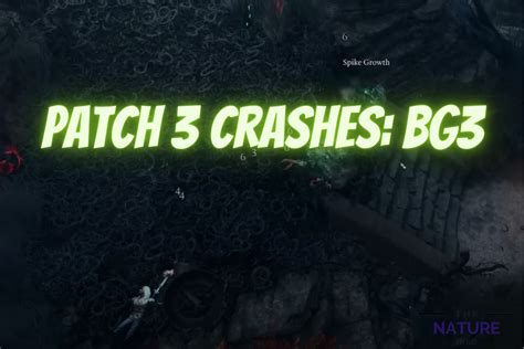 Bg3 Crashing After Patch 3 How To Fix It The Nature Hero