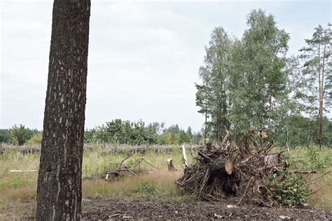 Marcel Noack Visual Artist And Fine Art Photographer