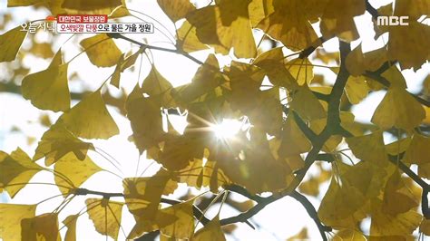 1900회 1 이태원 참사 반복은 안 된다 안전사고 대처법은 2 77세 어머니와 떠나는 아들의 효도 여행 3 무일푼으로 귀농 연 매출 1억 원의 비법은 4