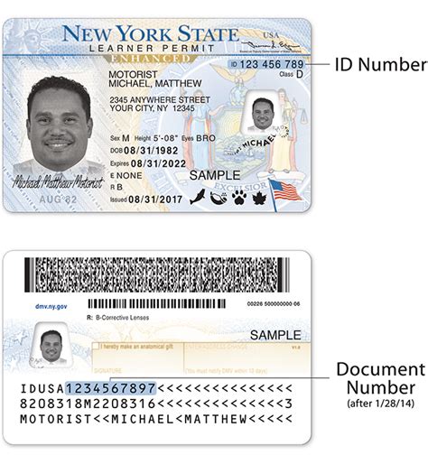 REAL ID Requirement For Air Travel Now Pushed To 2025 X101 Always