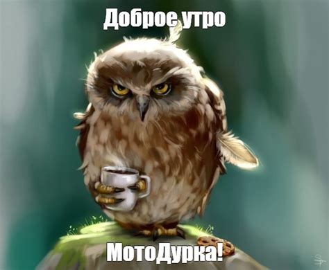 Мем Доброе утро МотоДурка Все шаблоны Meme
