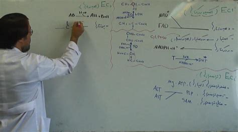 رضا رستمی نژاد On Linkedin دسته بندی آنزیم ها دکتر علیرضا خوشدل فیلم