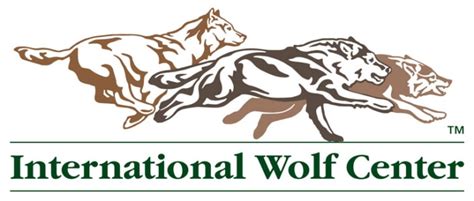 Wolves And Humans International Wolf Center