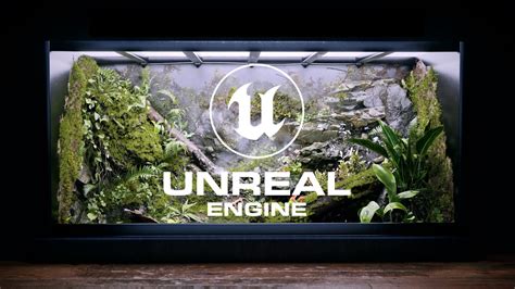 Quixel Unrealengine Ue5 Megascans Terrarium Muhammad Awais Azhar
