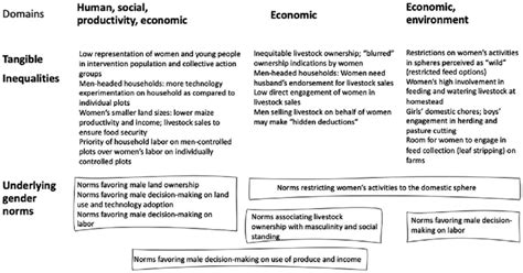 Gender Norms And Tangible Inequalities Download Scientific Diagram
