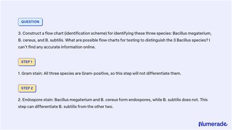 Solved 3 Construct A Flow Chart Identification Scheme For Identifying These Three Species