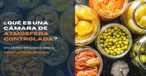 ¿qué Son Las Cámaras De Atmósfera Controlada