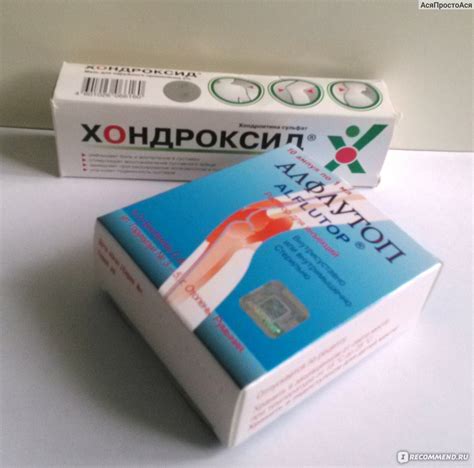 Средства, стимулирующие регенерацию Stada / Нижфарм Хондроксид - «Мазь ...
