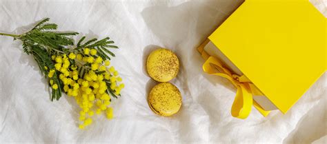 흰색 린넨 침대 시트 컵 또는 커피 프렌치 옐로우 마카롱과 노란색 선물 상자에 노란색 미모사 꽃의 가지 축하할 공간을 복사합니다 3월 8일 세계 여성의 날 인사 어머니