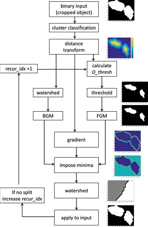 clustered nuclei splitting based on recurrent distance transform in digital pathology images