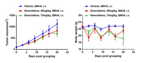 Small Molecule Biocytogen