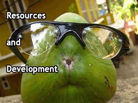 25 Mcqs Of Resources And Development