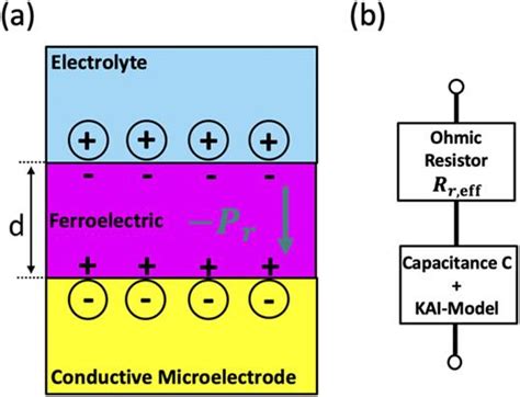 Charge Injection Capacity Of Ferroelectric Microelectrodes For Bioelectronic Applications Aip