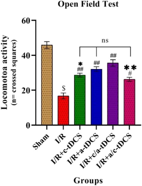 The Effects Of Tdcs On Locomotor Activity The Statistical Analysis Was Download Scientific