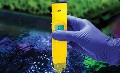 Stayin Alive How To Prevent Root Rot In Hydroponics General