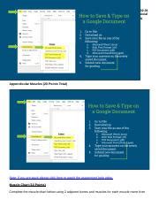 2 01 Axial Appendicular Muscles Odt 02 01 Axial Appendicular Muscles 20 Points Total Note