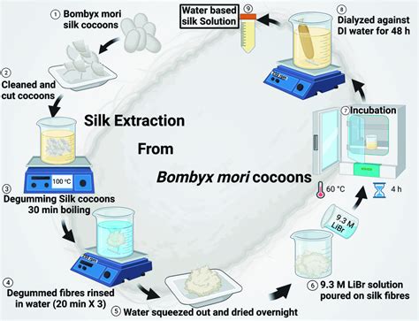 Schematic Diagram Shows Silk Fibroin Extraction From Bombyx Mori Raw