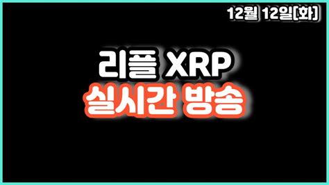 리플 Xrp 실시간 방송 Youtube