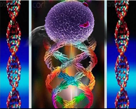 SÍndrome De Hutchinson Gilford Adn Recombinante En La Naturaleza