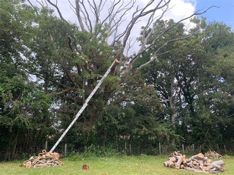 Get Estimate Branch Masters