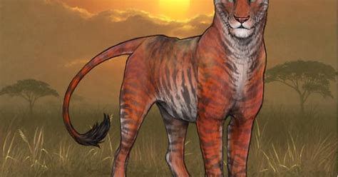 Zarina Red Dark Countershaded Rare Album On Imgur