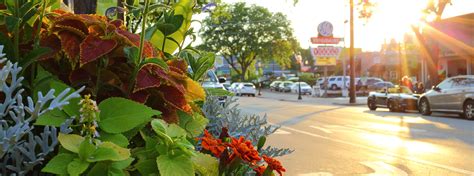 Zoning Code Glen Ellyn Il