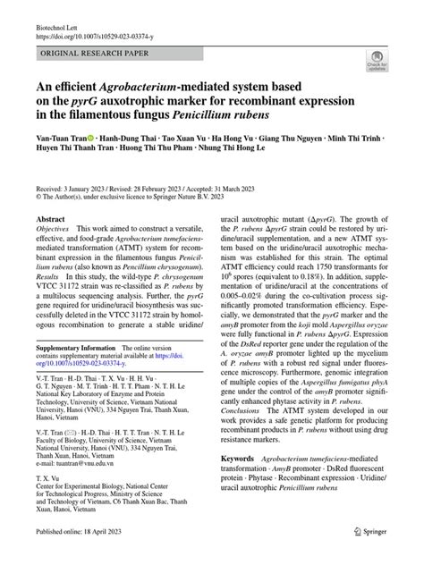 An Efficient Agrobacterium Mediated System Based On The Pyrg