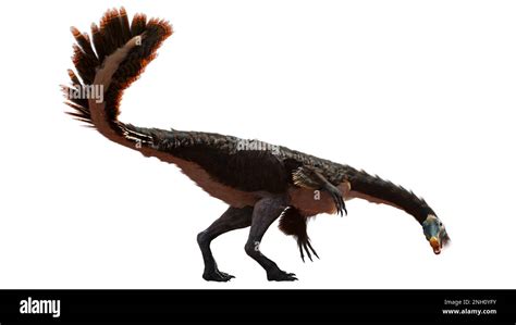Gallimimus Theropod Dinosaur From The Late Cretaceous Period Isolated