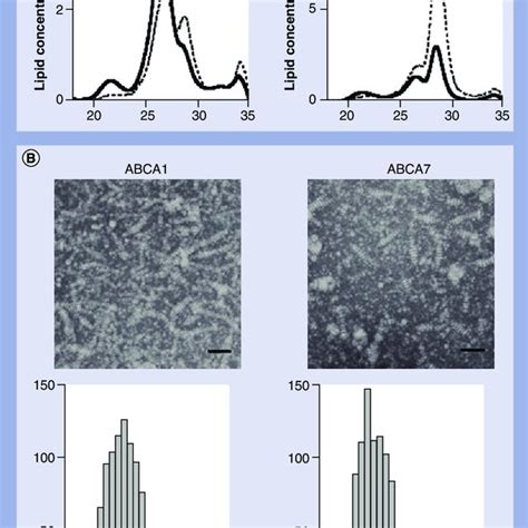 Abca1 Mediated Hdl And Abca7 Mediated Hdl Have Different Download