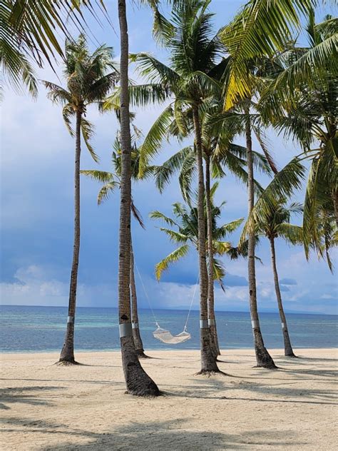 보홀 숙소 오세아니카 리조트구 사우스팜 Oceanica Resort Panglao Formerly South Palms