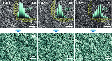 Sem Micrographs And Grain Size Distributions Of The Er Knln Ceramics Download Scientific