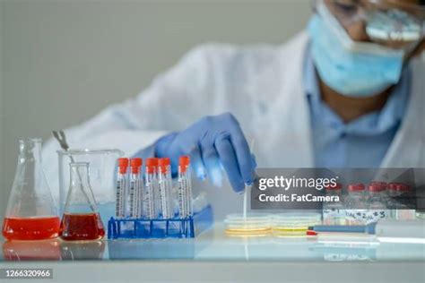 Specimen Case Photos And Premium High Res Pictures Getty Images