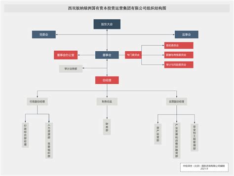 上市公司组织结构图 流程图模板 Processon思维导图、流程图