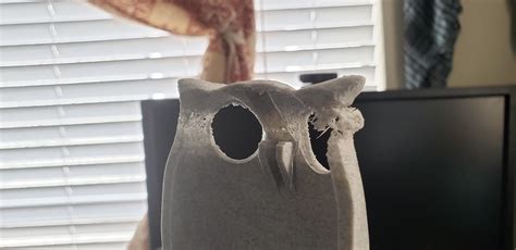 Extruder Issue Rfixmyprint