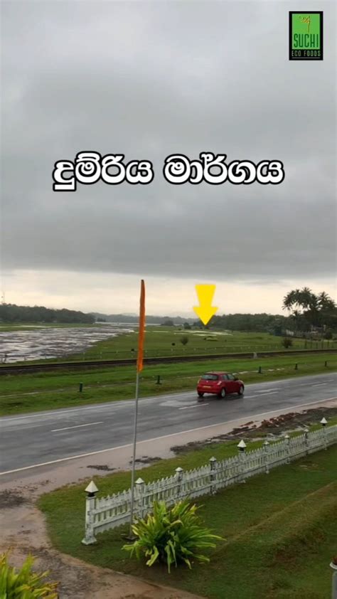 Suchiecofoods Natural Food Suppliment Srilanka Suchiecofoods