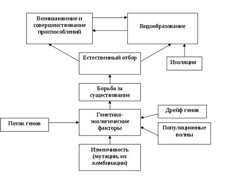 Эволюция и Генетика Реферат