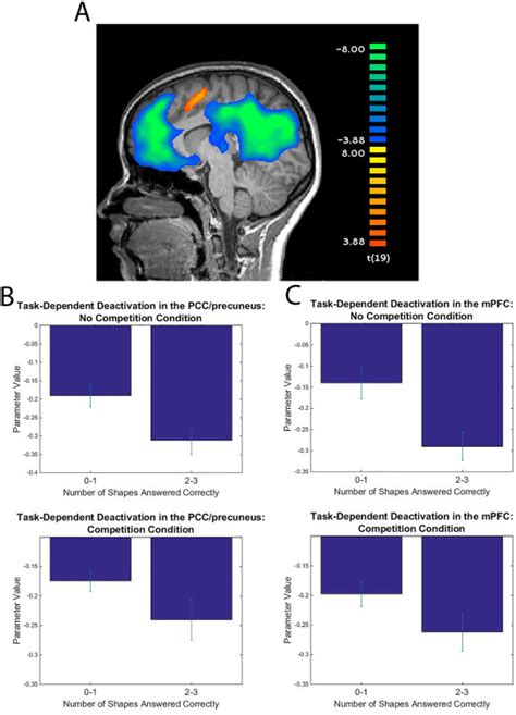 Results Of Working Memory Fmri Analysis A Participants Showed Download Scientific Diagram