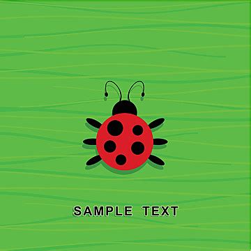 Ladybird Fauna Design Illustration Vector Fauna Design Illustration PNG And Vector With