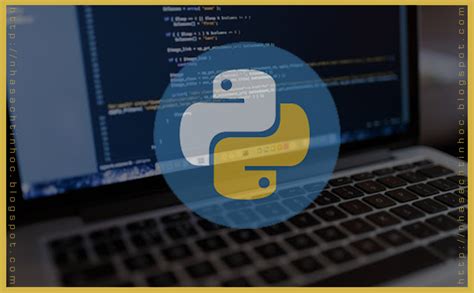 Chia Sẻ Khóa Học Giải Hơn 100 Thách Thức Bài Tập Lập Trình Python Cho