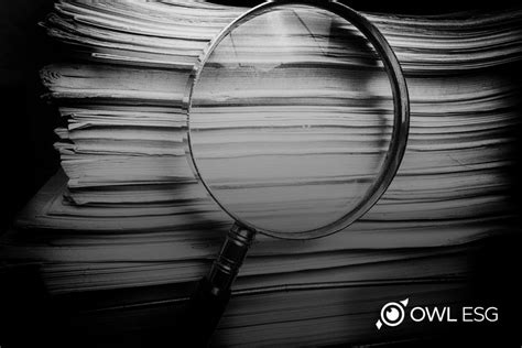 What Is An Esg Audit
