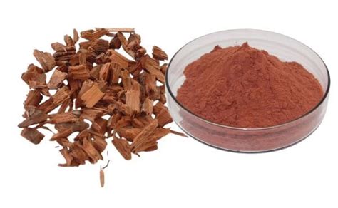 Buy Yohimbe Bark Extract 8 Yohimbine Hplc From Xuancheng Quality Herb