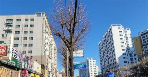 전세사기 피해자 1만명 넘었다 10명 중 7명 20·30대