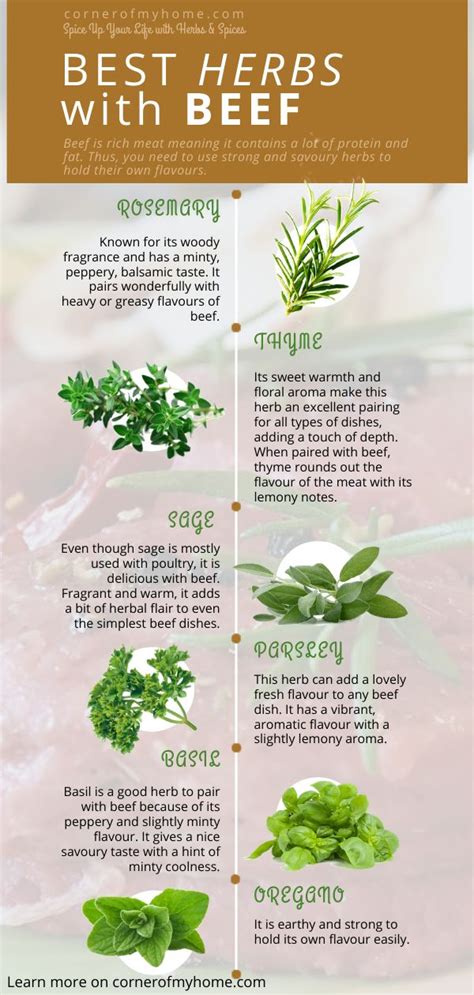 Best Herbs With Beef Herbs Savory Herb Cooking Herbs