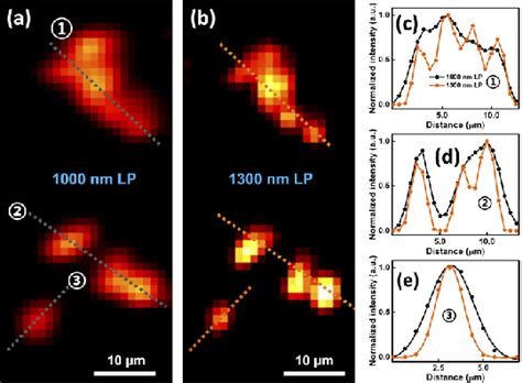 Nir Ii Msim Imaging At Different Spectral Windows Nir Ii Imaging Download Scientific Diagram
